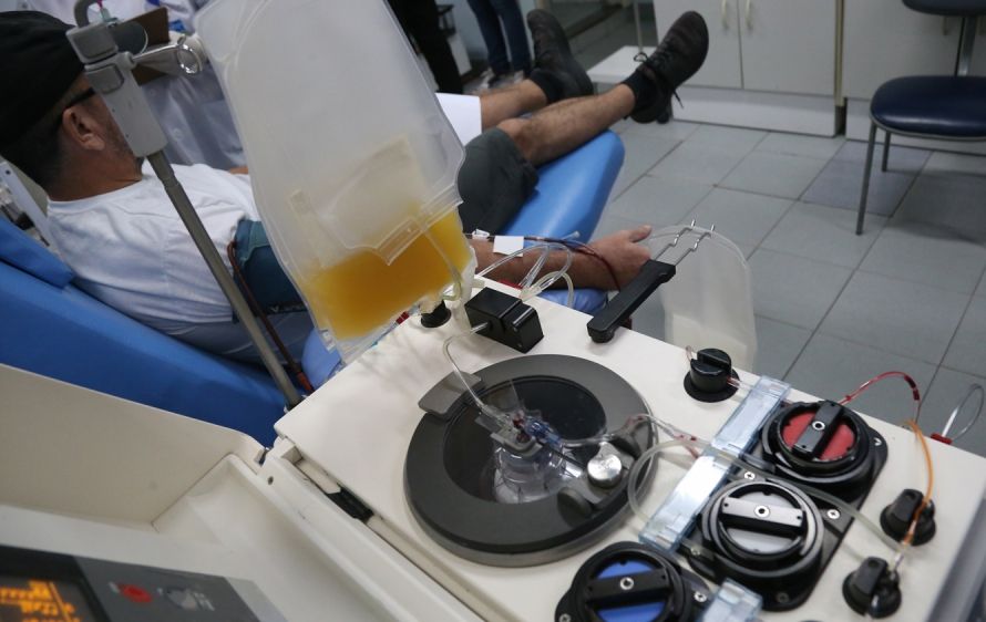 Dengue: Casos graves de dengue fazem o Hemorio lançar campanha para ...